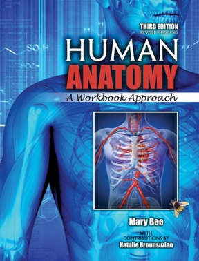 Human Anatomy A Workbook Approach PAK 3rd edition | Rent 9781465276827 ...